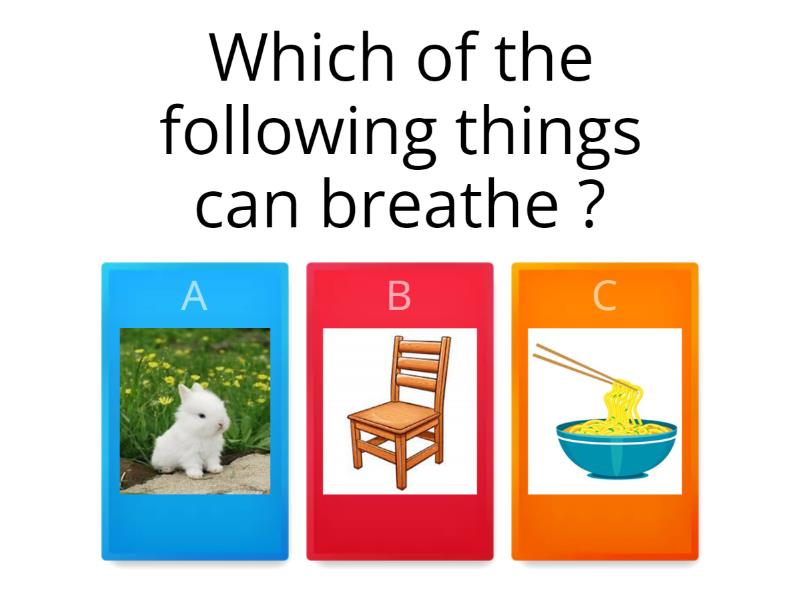 Primary 1 - Unit 3 - Living Things - Quiz