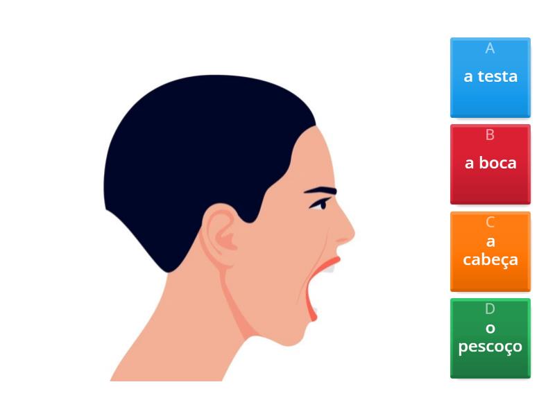 #01.1 Partes do corpo humano - Quiz