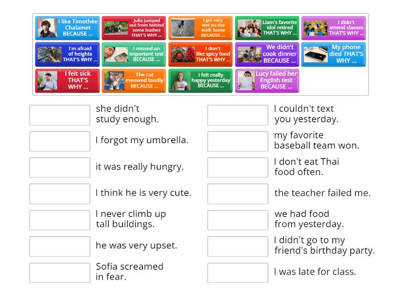 Identifying Reasons - Match up