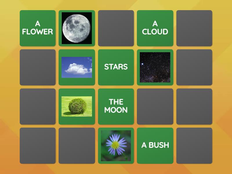 MEMORY GAME: NATURE - Matching pairs