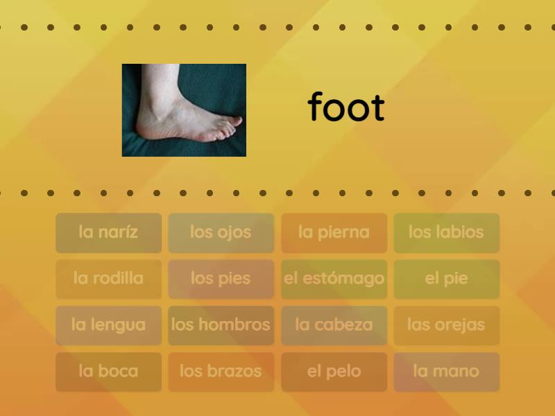 Las partes del cuerpo - Find the match