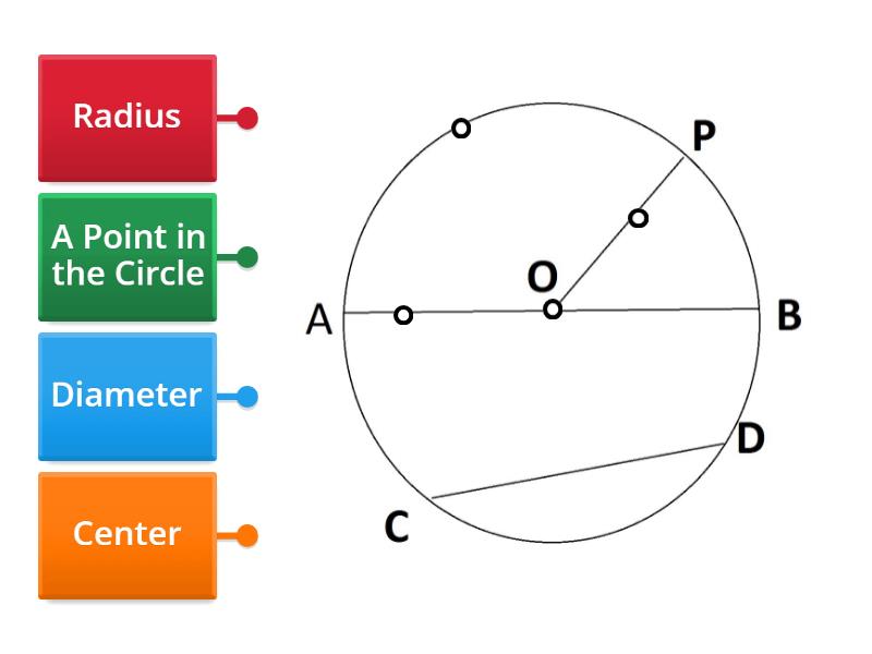 Please Match the Circle's Parts - Labelled diagram