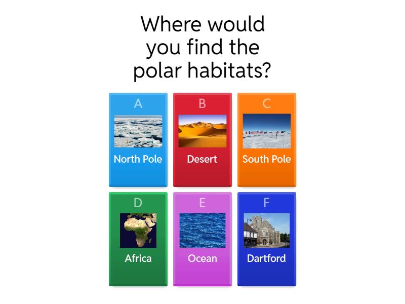 Polar habits (Y1 Science ) - Quiz