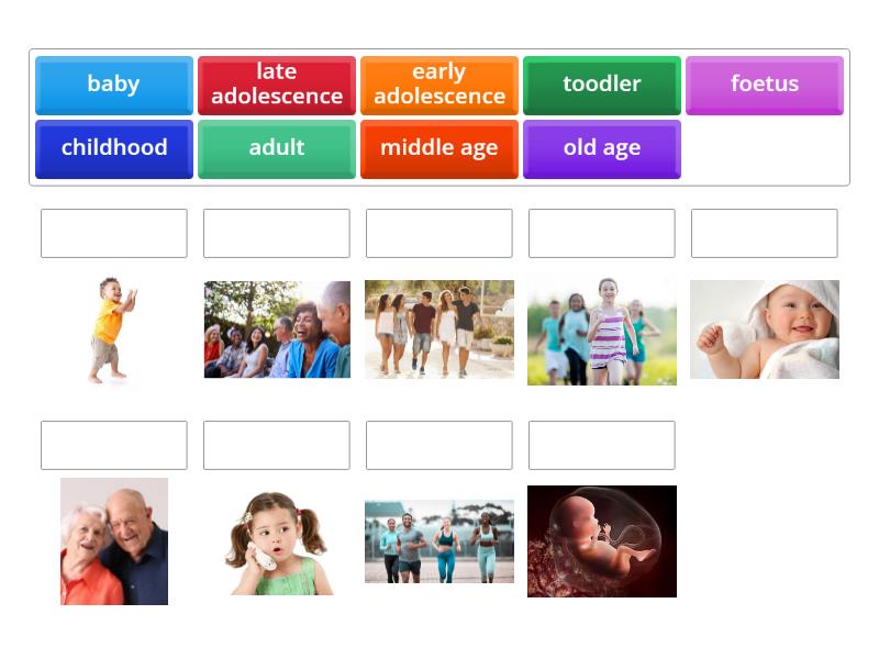 STAGES OF LIFE - UNIT 1 - Match up