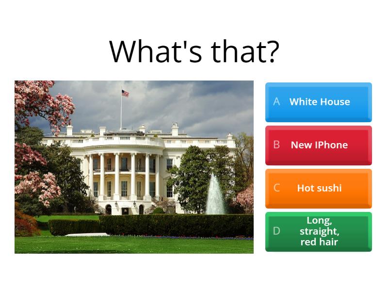 Elementary EF 2B Nouns+Adjectives - Quiz