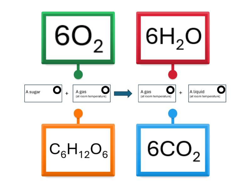 aerobic respiration symbol equation - Labelled diagram