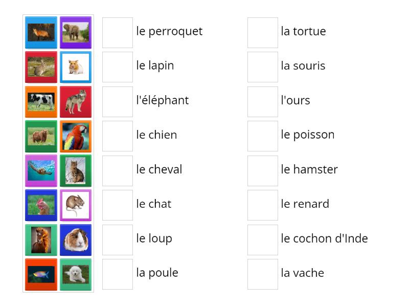 Les animaux - Match up