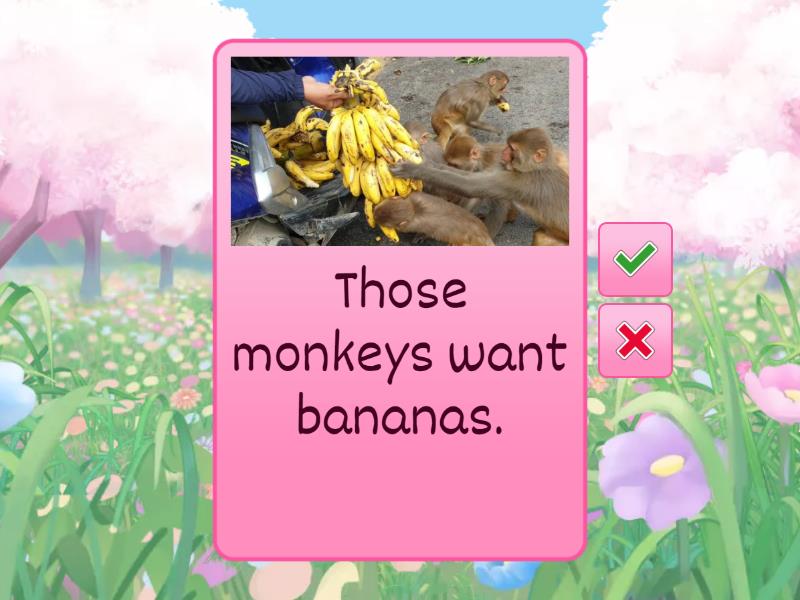 Who likes/has/wants ...? Who doesn't like/have/want ...? - Flash cards