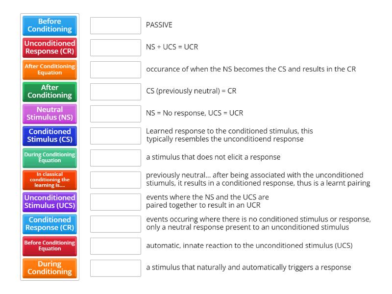Classical Conditioning - Match up