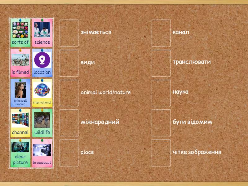 BBC Go getter 3 - Match up