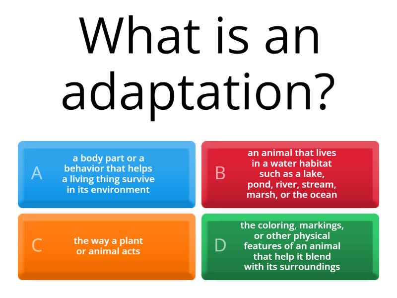 Adaptations - Quiz
