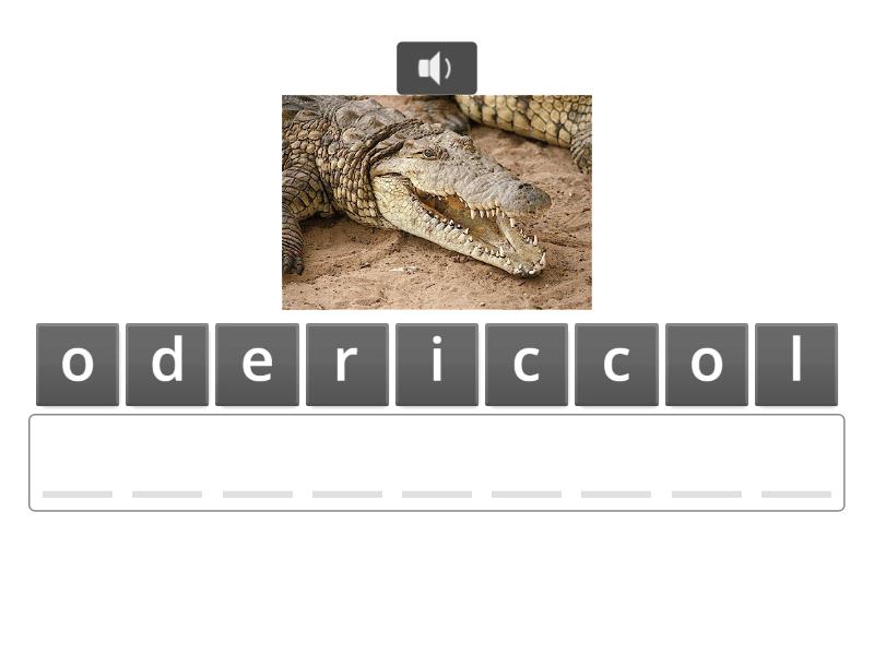 4 class 1 lesson - Anagram