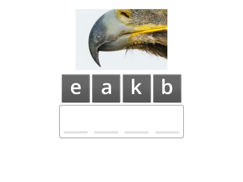 parts of animal bodies - Anagram