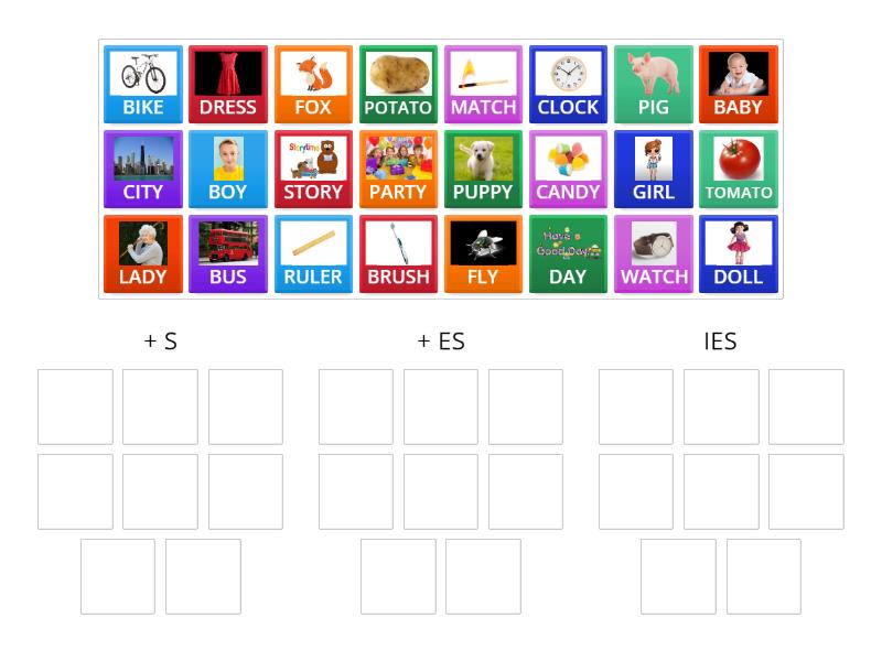 Plurals -s -es -ies - Group sort