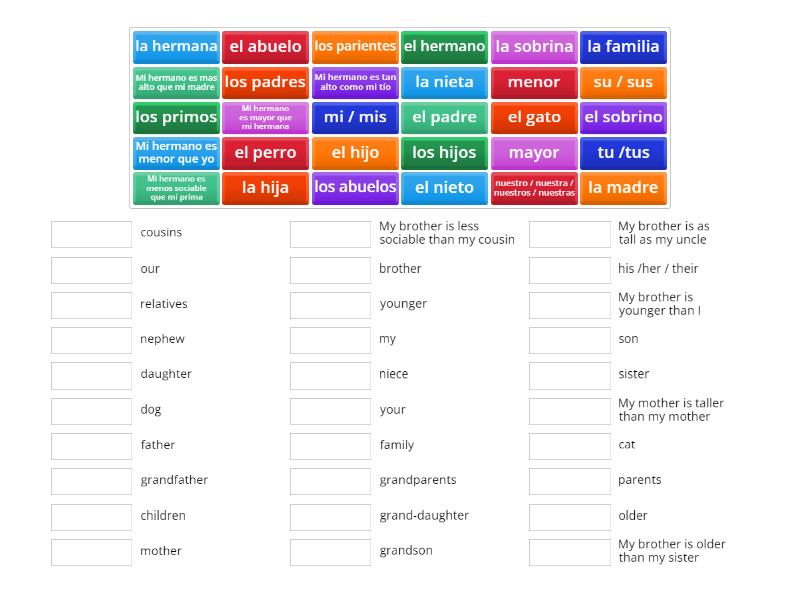 La Familia, Making Comparisons, Possessive Adjectives - Match up