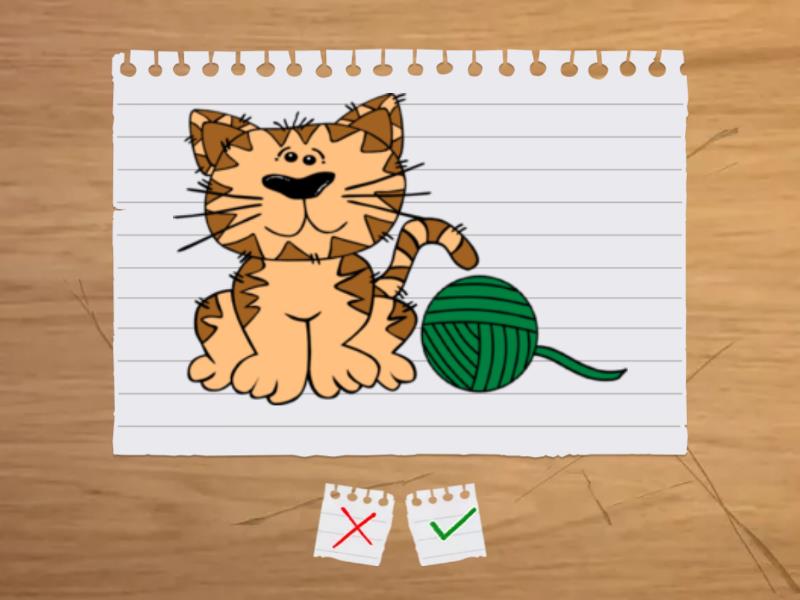 Preposition - Flash cards