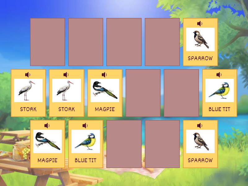 BIRDS - Matching pairs