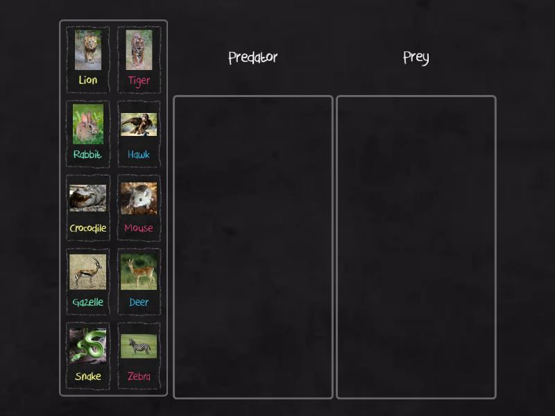 Predator or Prey - Categorize