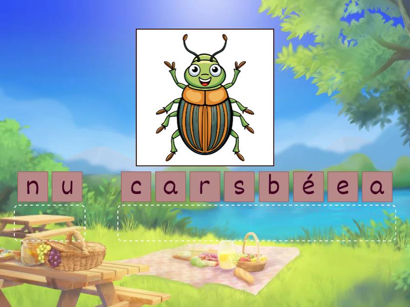 Je peux compter - les insectes - Anagram