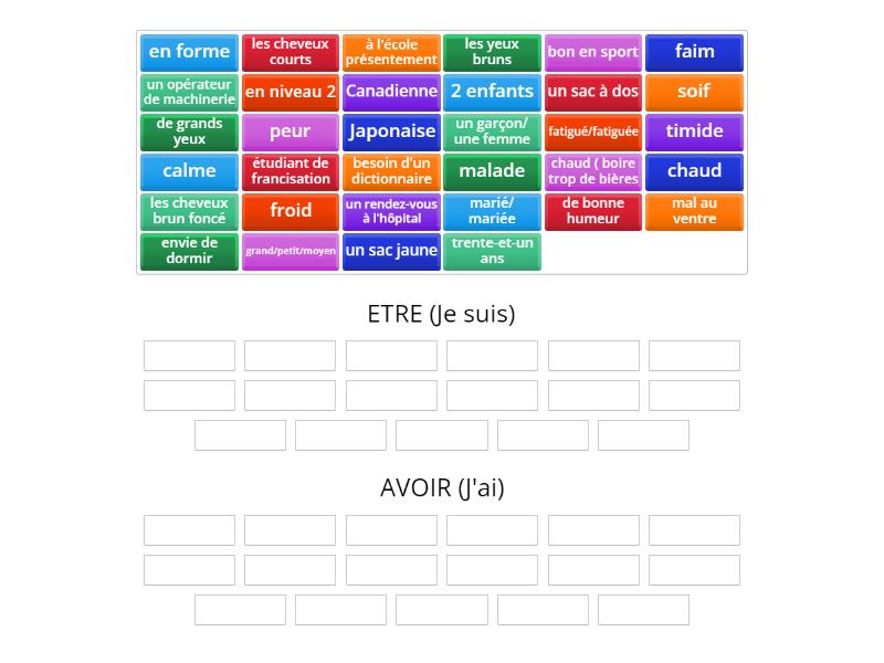 ETRE ou AVOIR- classe de Nathalie - Group sort