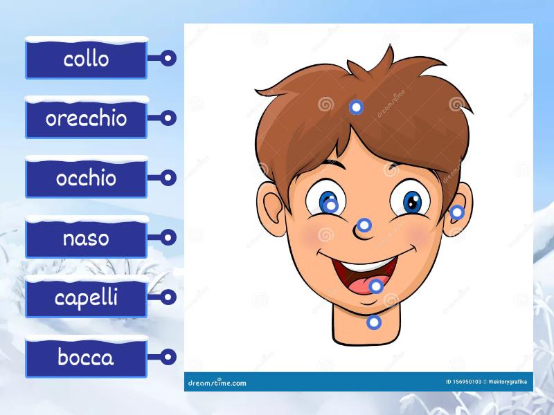 parti della faccia - Labelled diagram