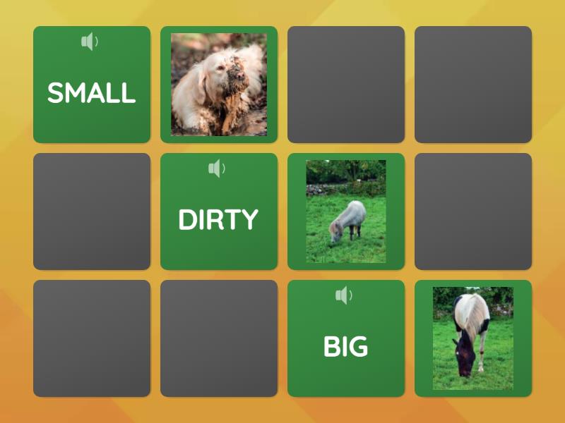 FARM ANIMALS - ADJECTIVES - Matching pairs