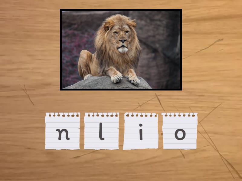 wild animals - Anagrama