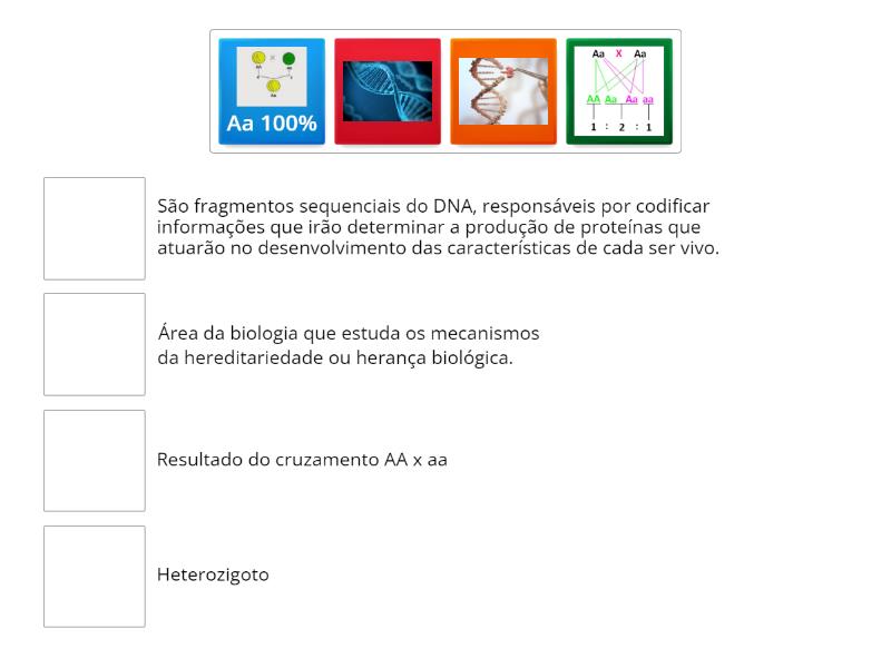 Play DNA - Match up
