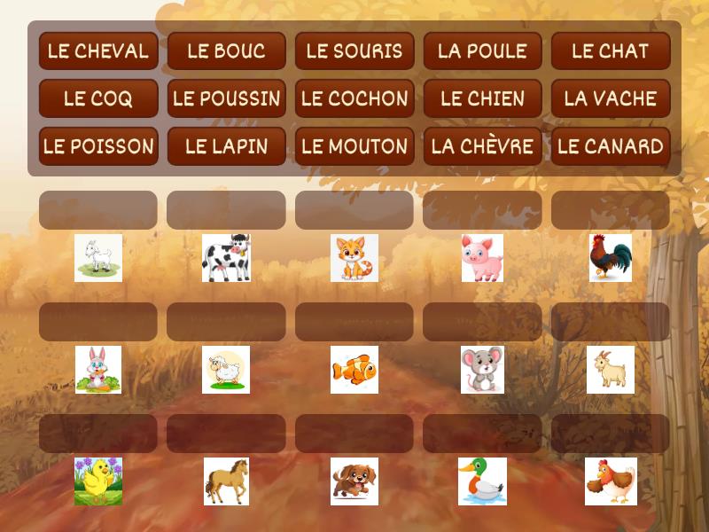 LES ANIMAUX - Match up