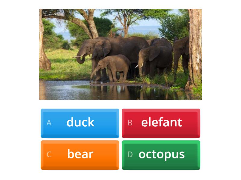 FF Starter Unit 6 They are + animals (extra) - Quiz