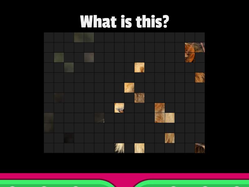 GUESS THE WILD ANIMAL. TEENS BEGINNERS - Image quiz