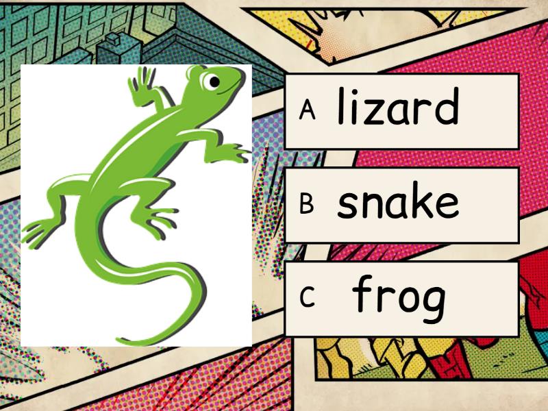 Kid's box 2 Unit 7 + 8 - Quiz