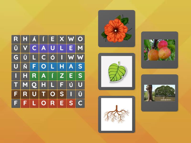 PLANTAS - Sopa de letras