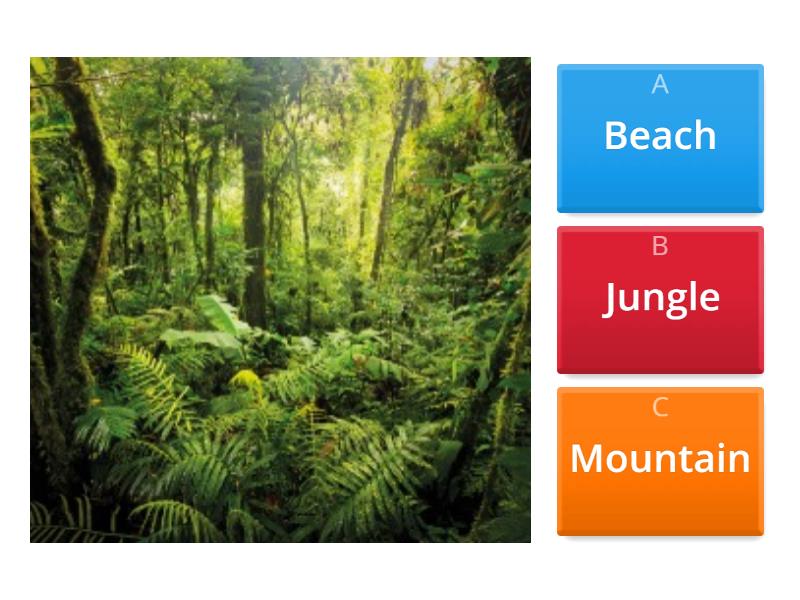 Vocabulary Tropical Fun - Cuestionario