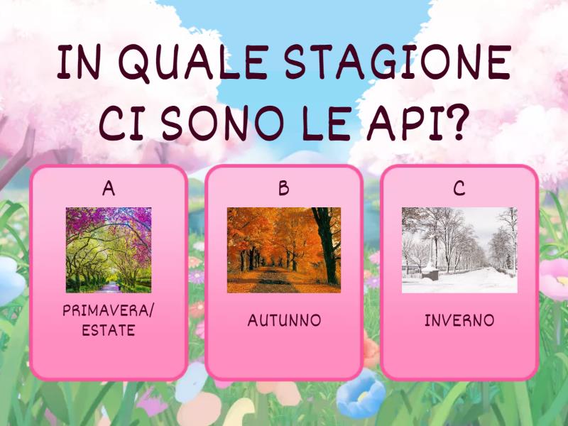 IL MONDO DELLE API - Quiz