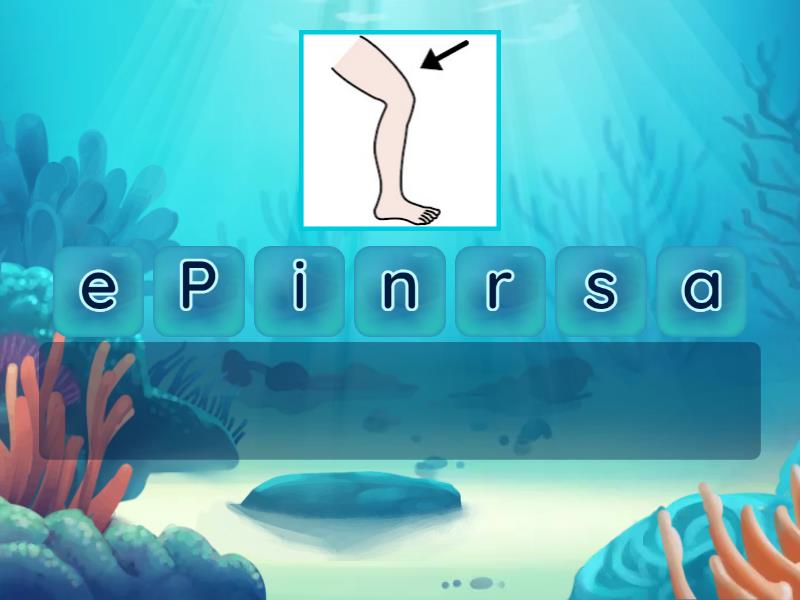 Tu Cuerpo A1 Anagram