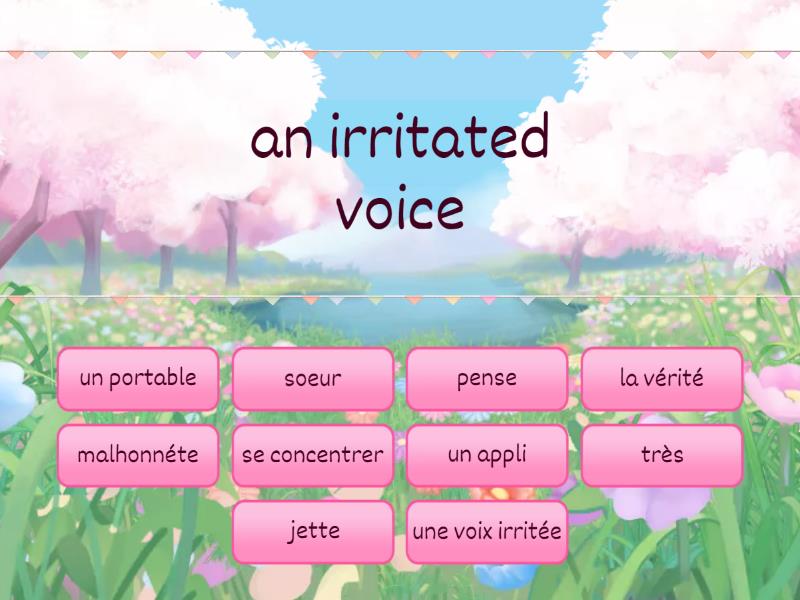 BB dit la verite Mots Mysteres-Ch 1 - Find the match