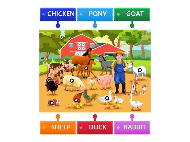 Farm animals, Shine on 1, Unit 6, lesson 5. - Labelled diagram