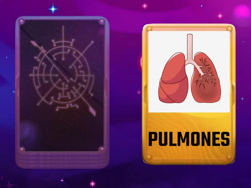 Cuerpo humano - Random cards