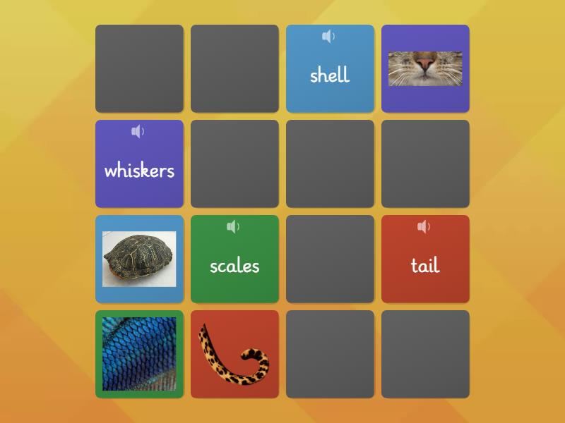 Memory game - Animal body parts - Matching pairs