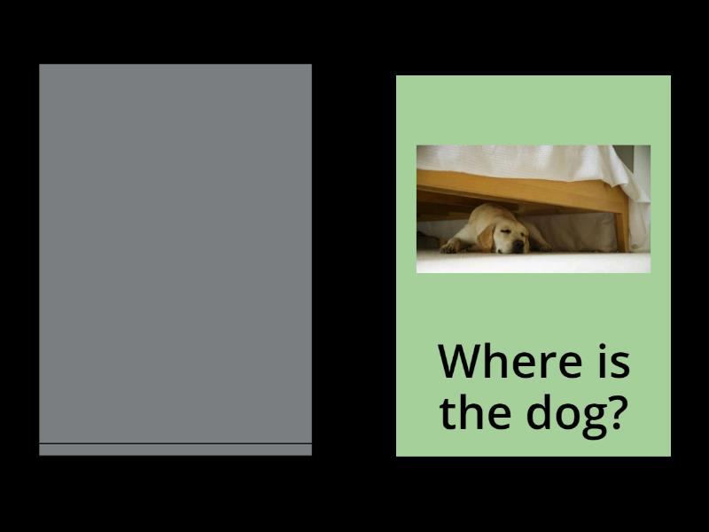 Dog Prepositions In, On, Under Cards - Speaking cards