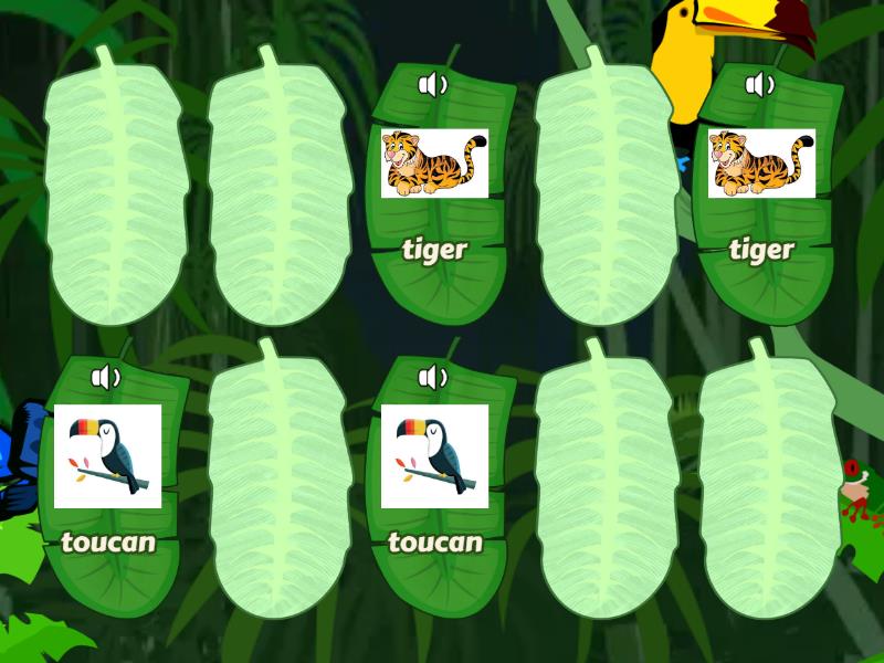 Jungle Animals 1 - Matching pairs
