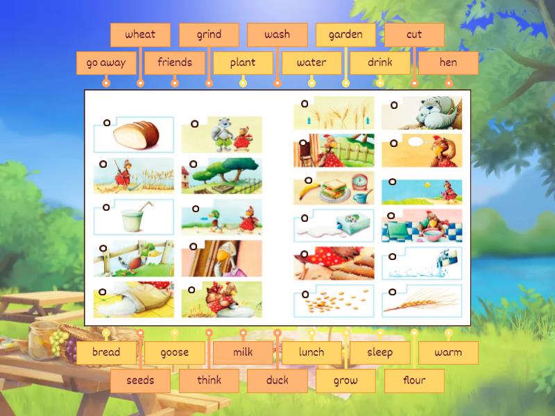 The Little Red Hen Vocabulary - Labelled diagram