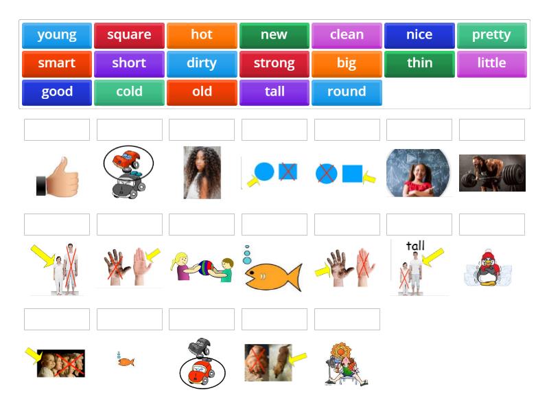 Describing Words Set 1 BGC - Match up