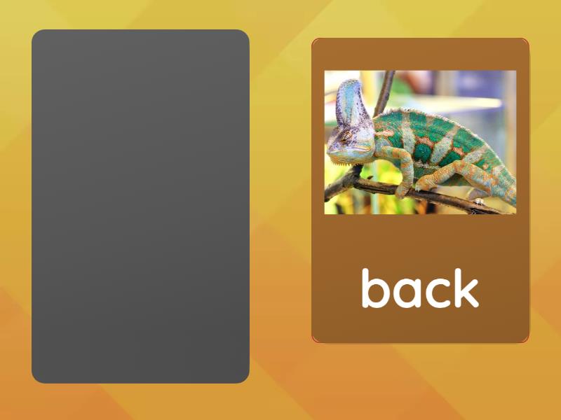 chameleon words - Speaking cards