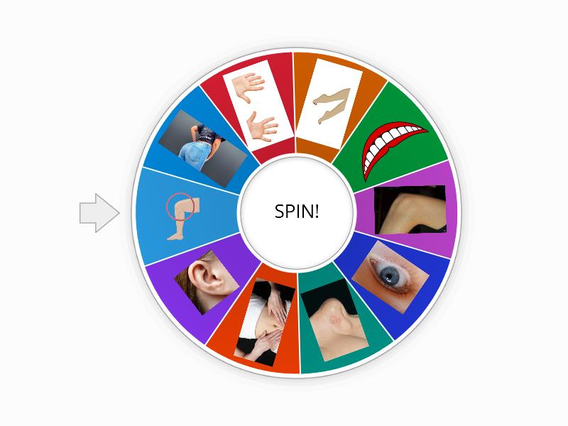 PARTS OF THE BODY - Spin the wheel