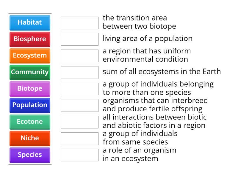 Ecological terms - Match up