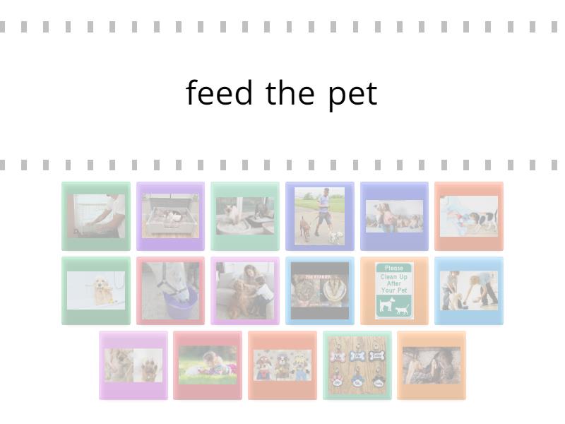 Taking care of your pet - Find the match