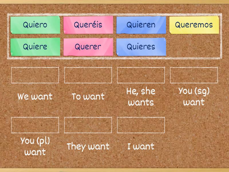 El verbo querer (to want) - Match up