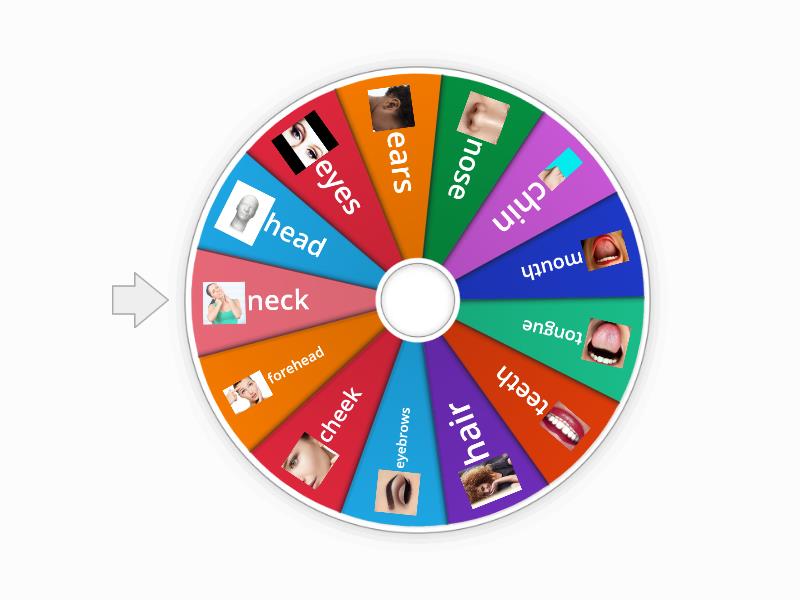 Parts of the body - Spin the wheel